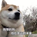 噫吗哒 