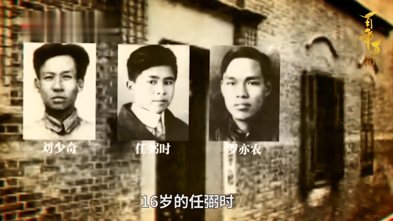 微视频丨真理的味道