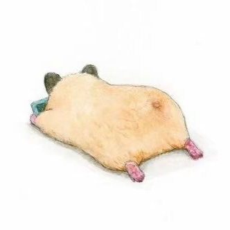 竹影寻梦 