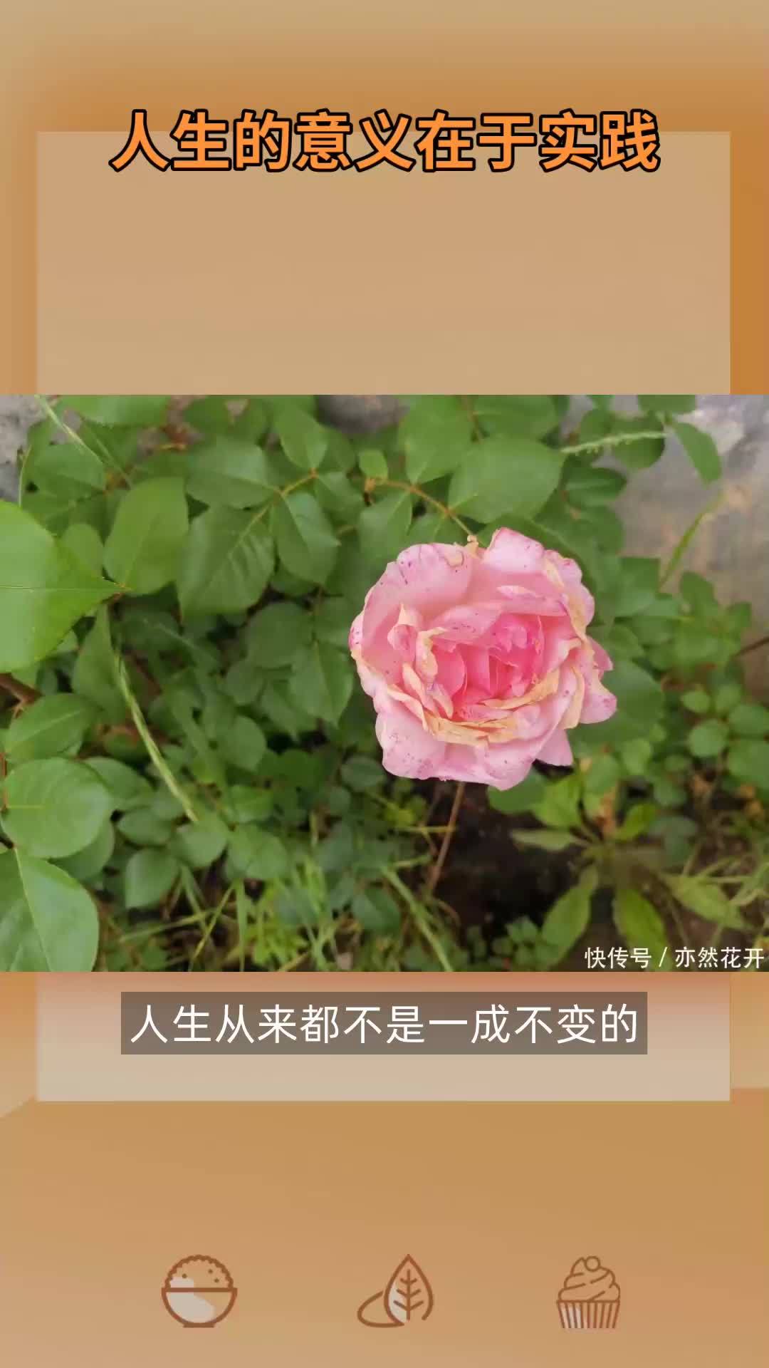 人生的意义在于实践