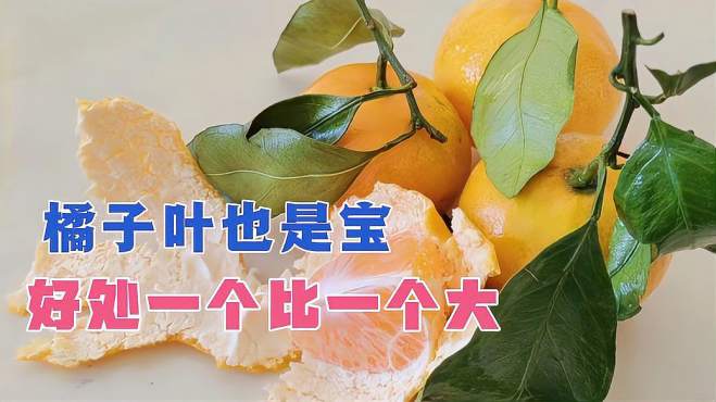 橘子叶别扔,煮一煮是个宝,很多人不知它珍贵,涨知识了