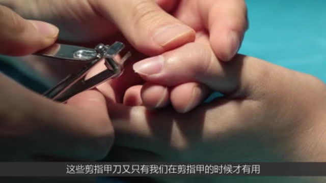 指甲刀的"隐藏功能",各个都很实用,别说你还不知道?