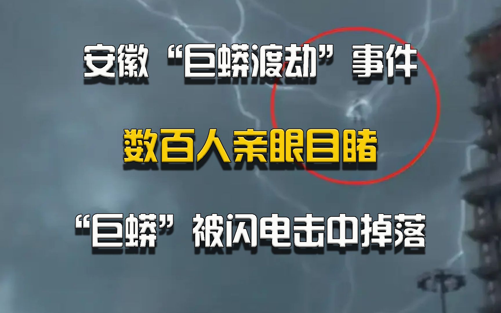 安徽“巨蟒渡劫”事件,数百人亲眼目睹,“巨蟒”被闪电击中掉落