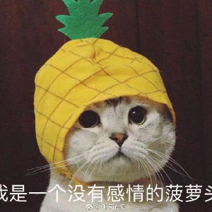 偷渡欧洲的咸鱼鸽 