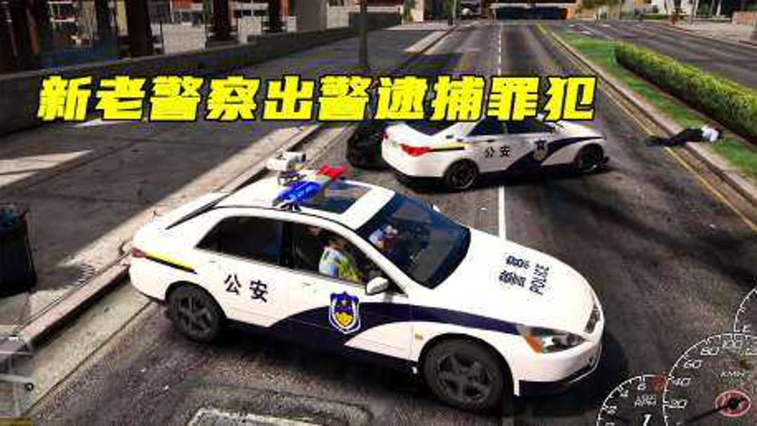 GTA5警察模拟:新老警察联合出警逮捕一名持枪歹徒