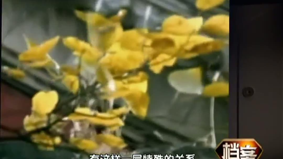 档案 慈禧与她命运交织的四个男人.mp4