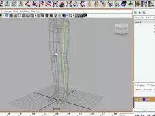 maya2009身体骨骼绑定教程03