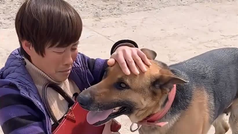 阿姨取钱被抢,小虎见义勇为追回财务!这种举动值得称赞