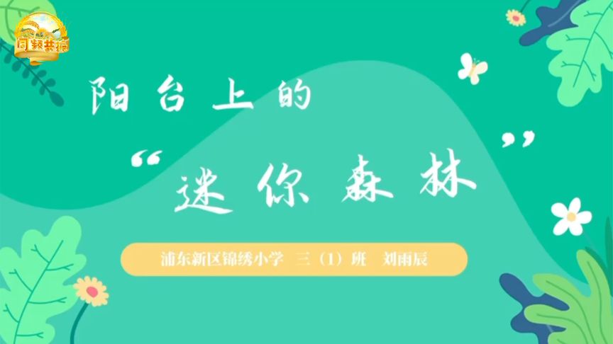 种植日记|“糯糯小女孩”的“迷你森林”