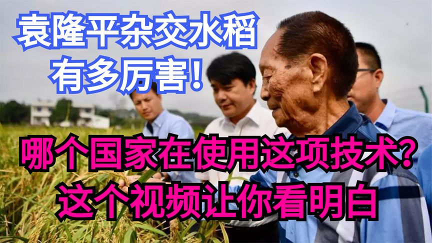 袁隆平杂交水稻技术有多厉害!哪个国家在使用,这个视频让你明白