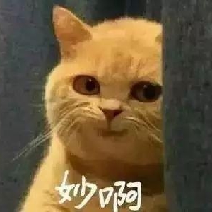 天下武功出街头 