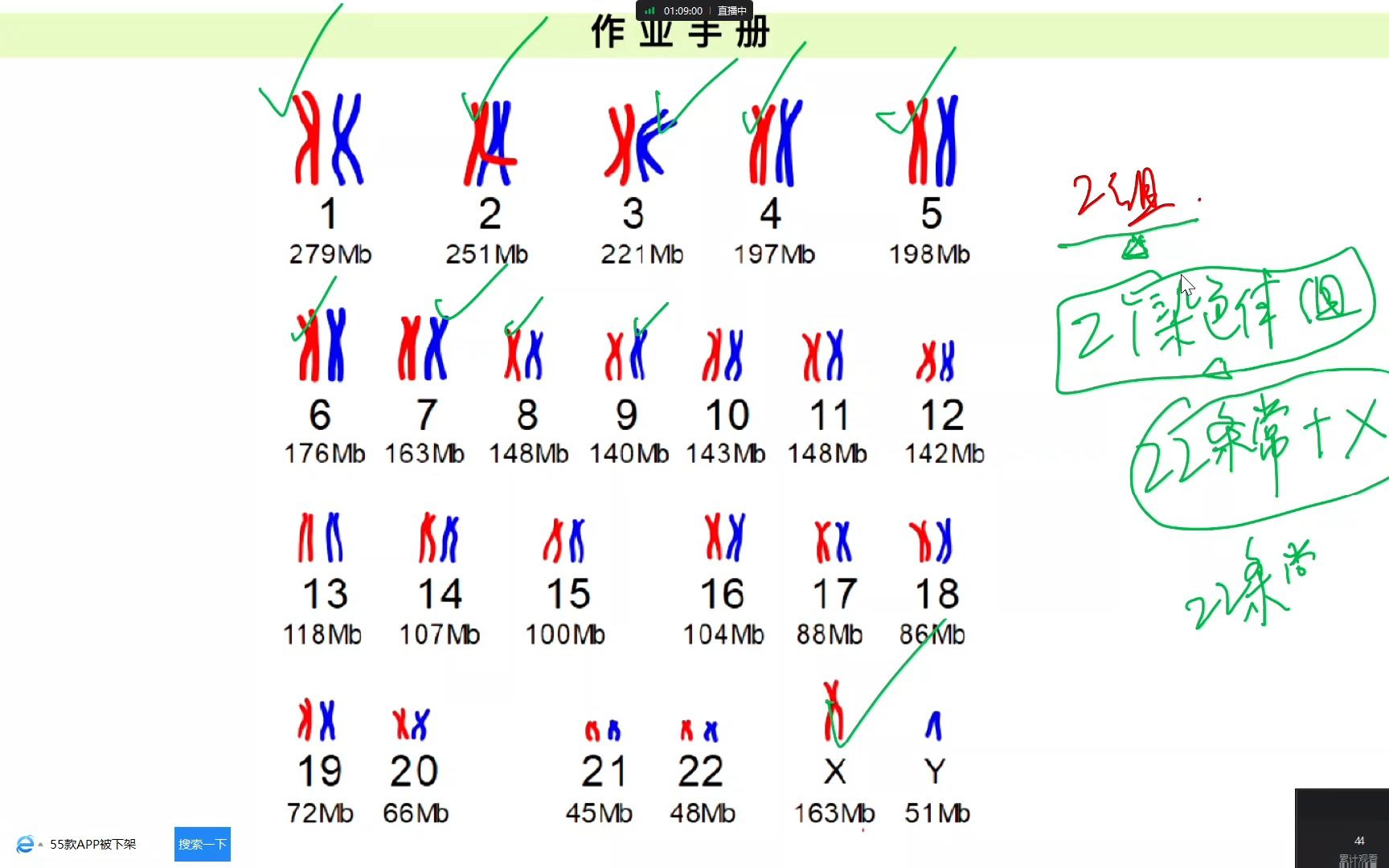 染色体数目变异
