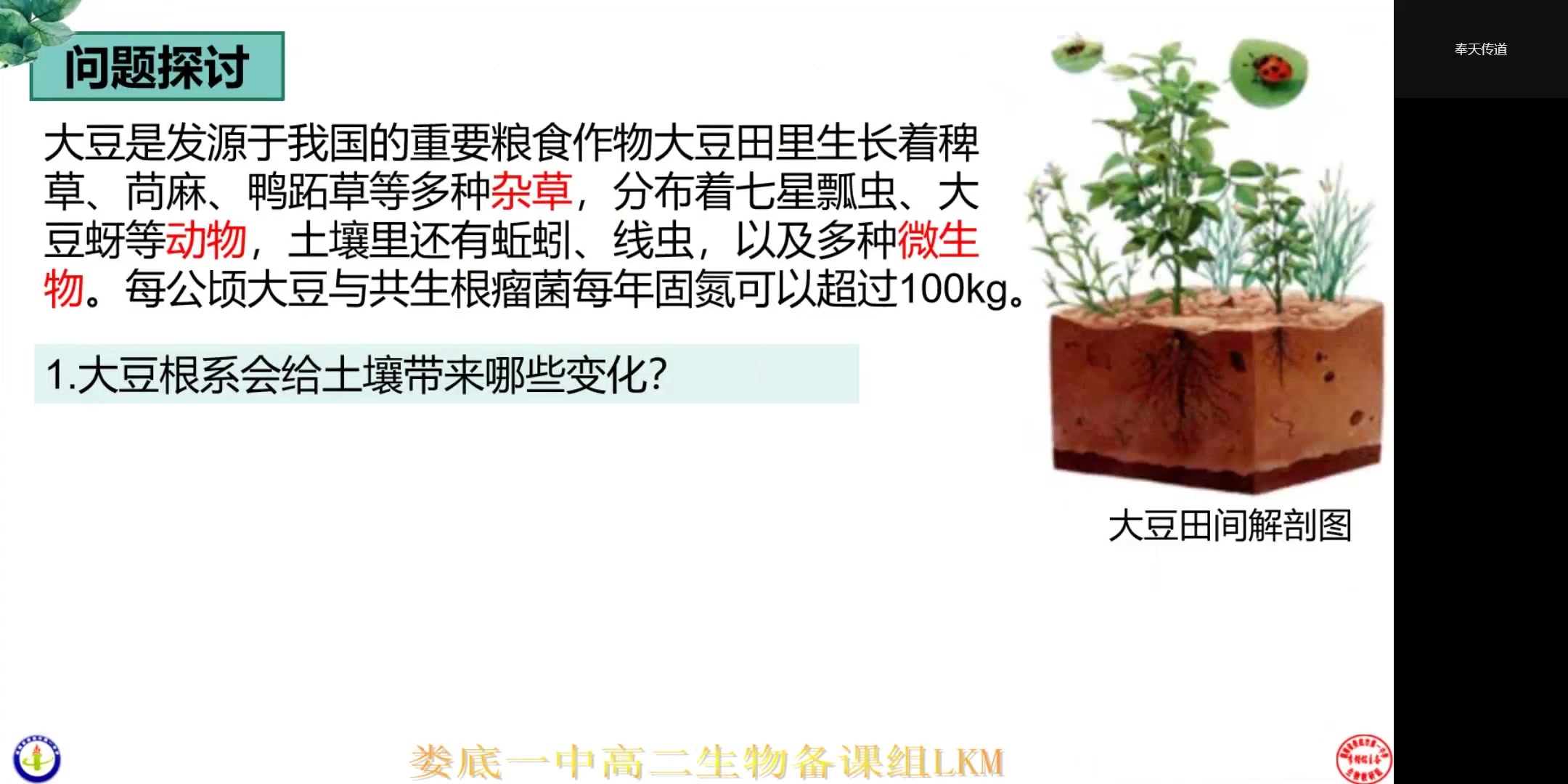 生态系统的结构1