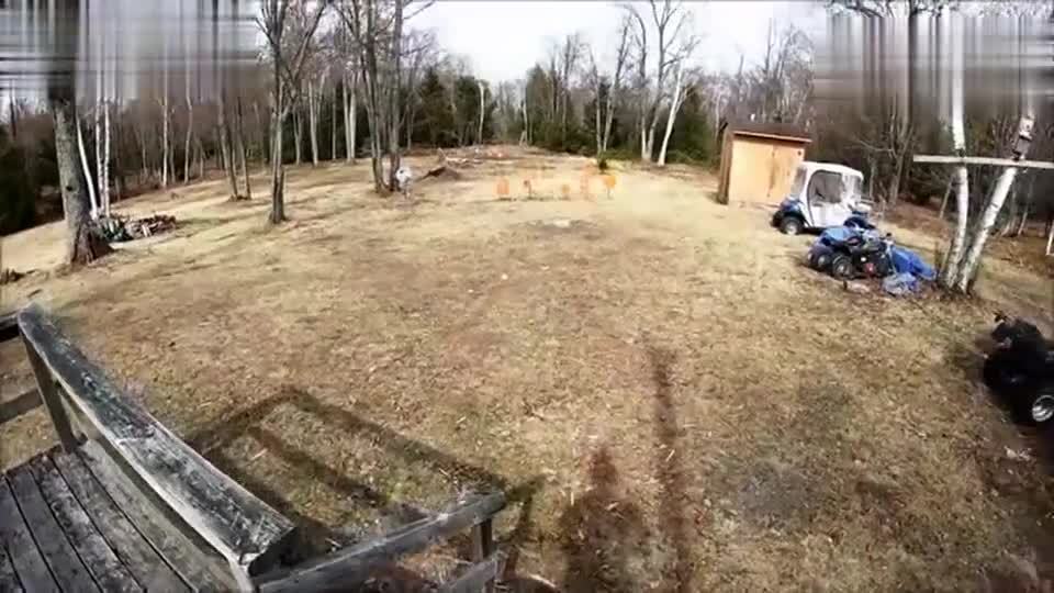 第一视角感受一下一二战的枪械射击,找一下射击的感觉