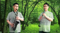 萨克斯单簧管演奏《心雨》快乐元君