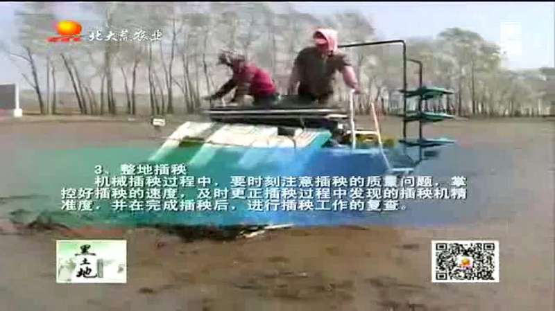 水稻机械插秧的技术要点