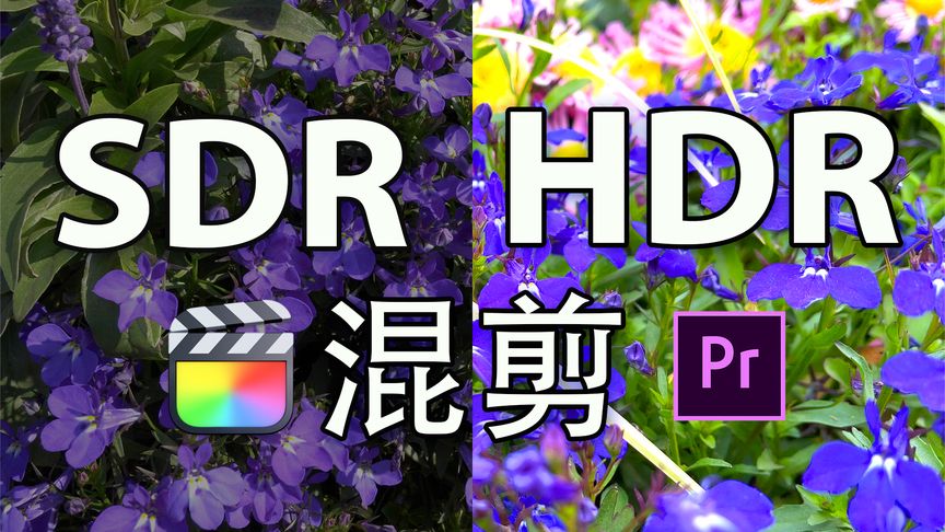 怎样用Final Cut和Adobe Premiere进行HDR与SDR视频混剪