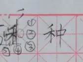 禾字旁的写法~曹老师硬笔课堂