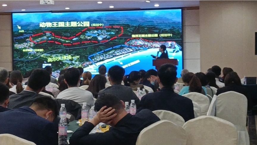 鼎龙湾推介会3