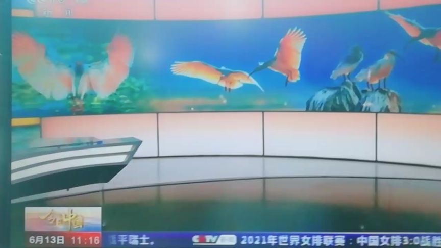 保护好野生动物把世界变得更美丽,