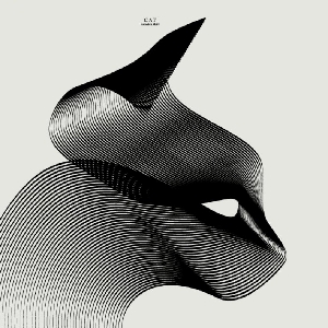 亓柃 