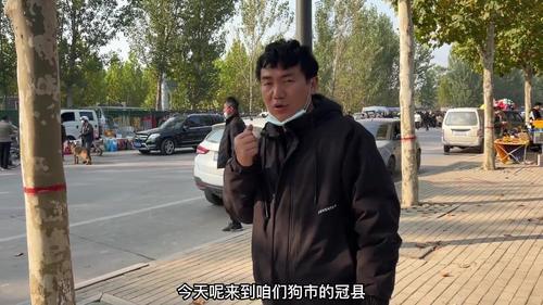 小哥吹牛说他家的狗能"咬死美洲狮",猛犬的克星,打架没有输过