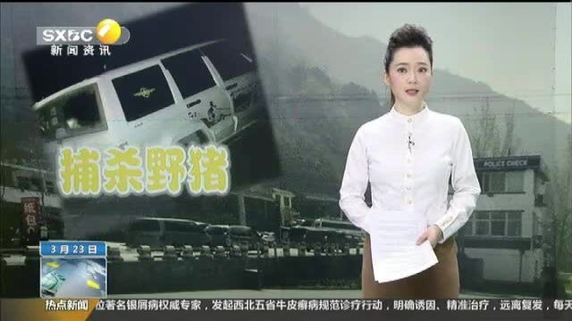 男子自制钢丝套猎杀野猪 森林公安:涉嫌林业违法 行政处罚8000元