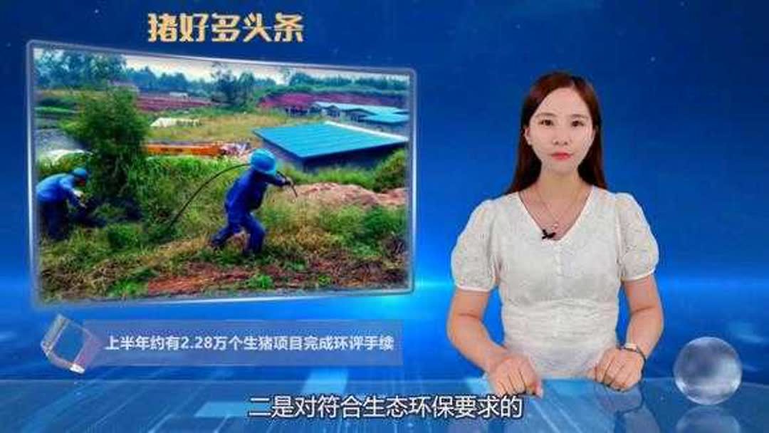 上半年全国约2.28万个生猪项目完成环评手续,涉及产能约1.57亿头