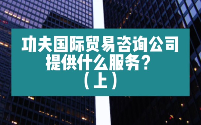 功夫国际贸易咨询公司提供什么服务?(上)