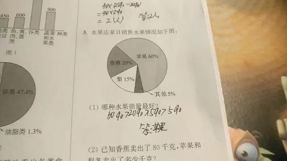 六年级数学扇形统计图课后题