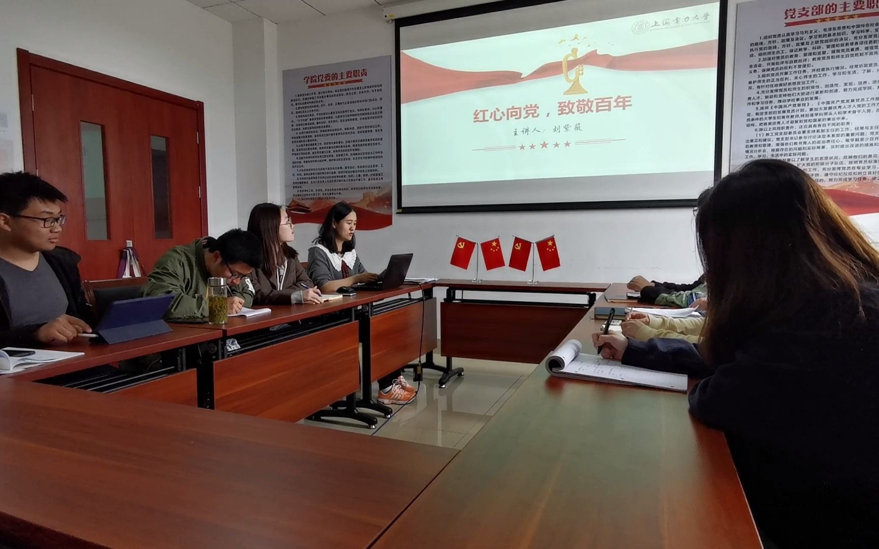数理学院党委信物本科生低年级党支部刘紫薇--《红心向党,致敬百年》