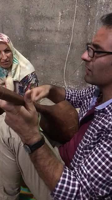 伊朗合伙人表演11月底来中国直播