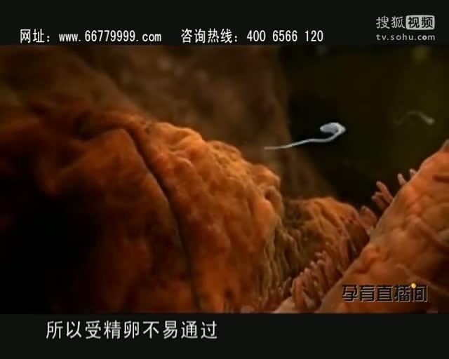 输卵管为什么会堵塞 输卵管堵塞通水过程