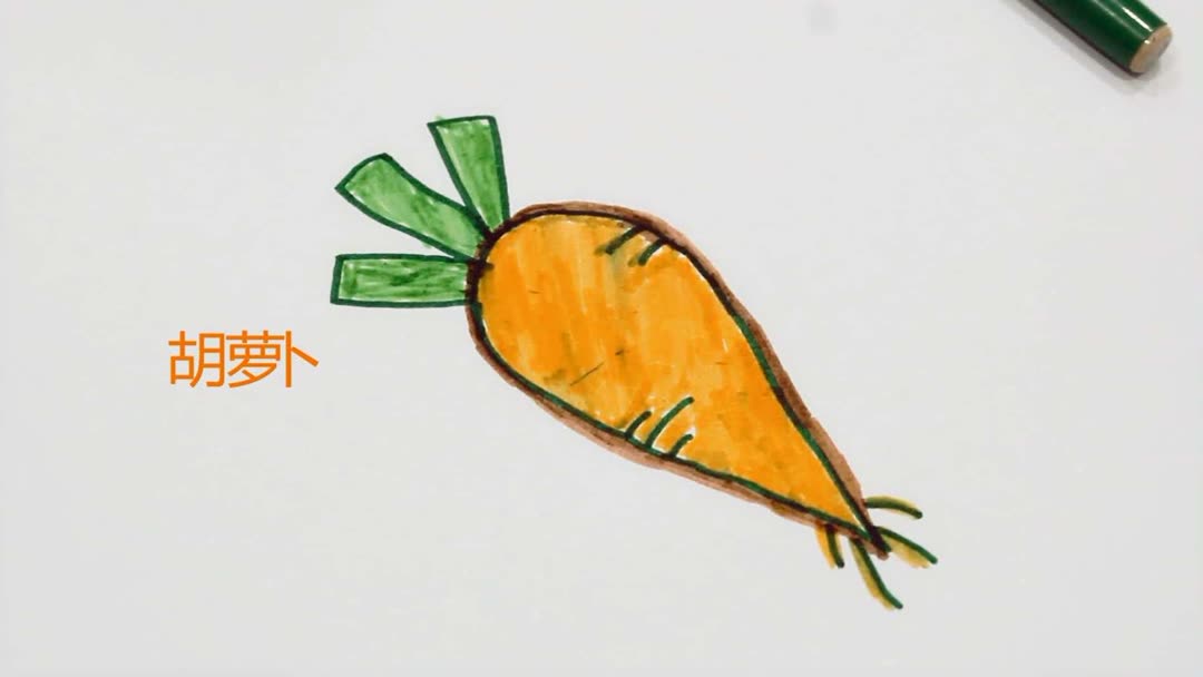 简笔画 2-6岁幼儿园宝宝简笔画视频教程 画胡萝卜