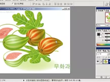 photoshop实例教程16制作放大镜动画