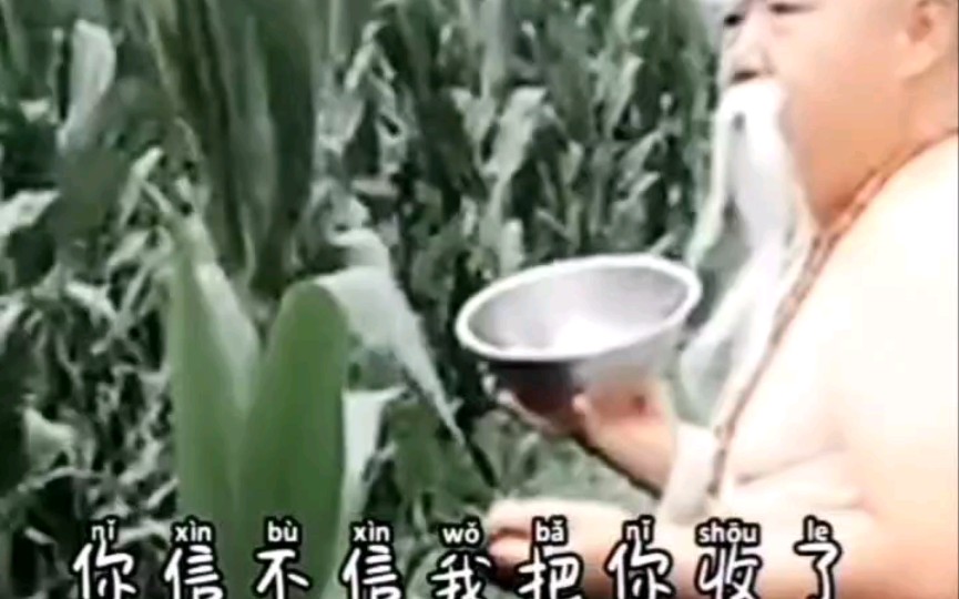 信不信我把你收了啊