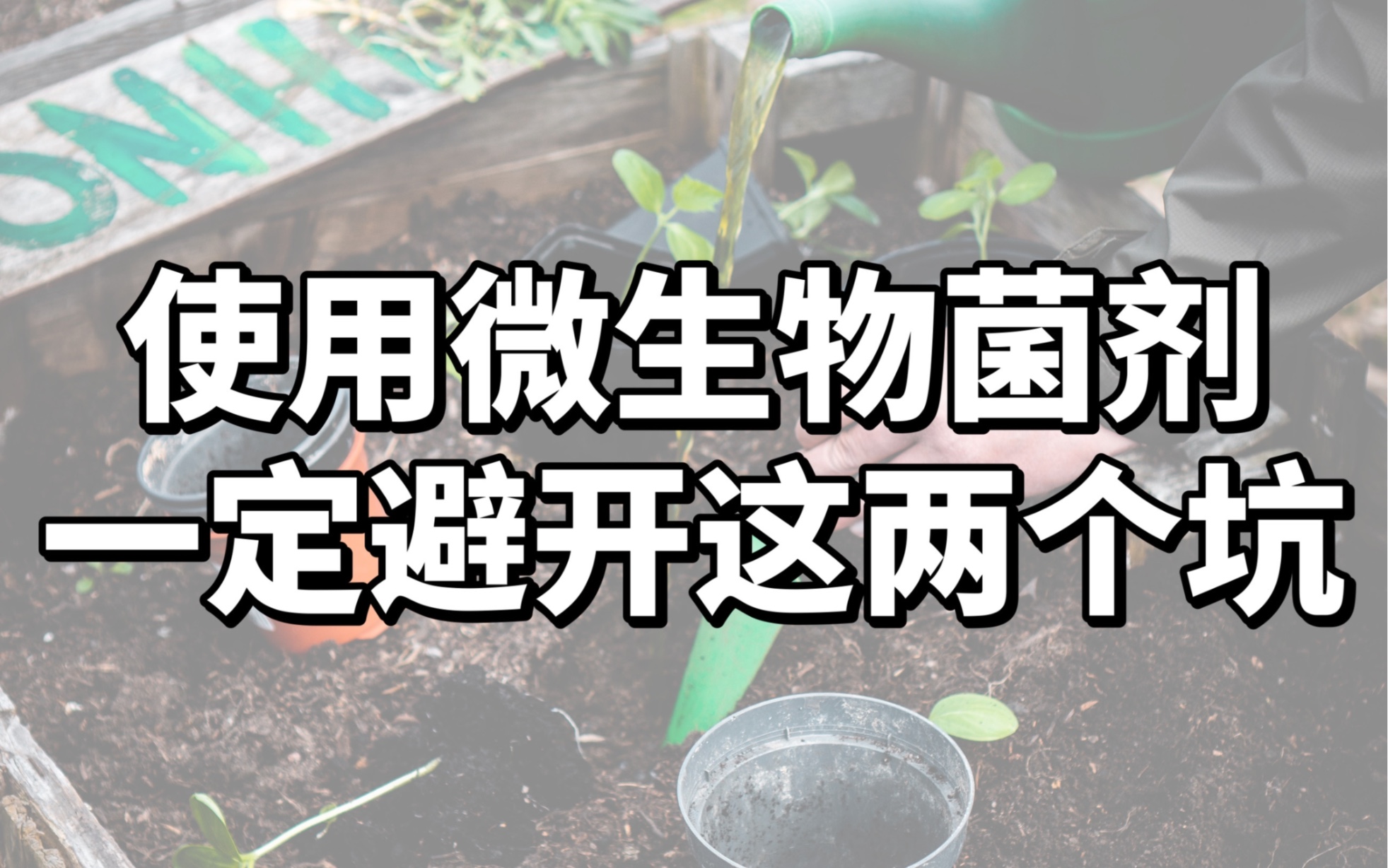 种植养护使用微生物菌剂一定要避开这两个坑!