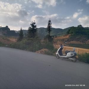 一丝不苟海浪Z 