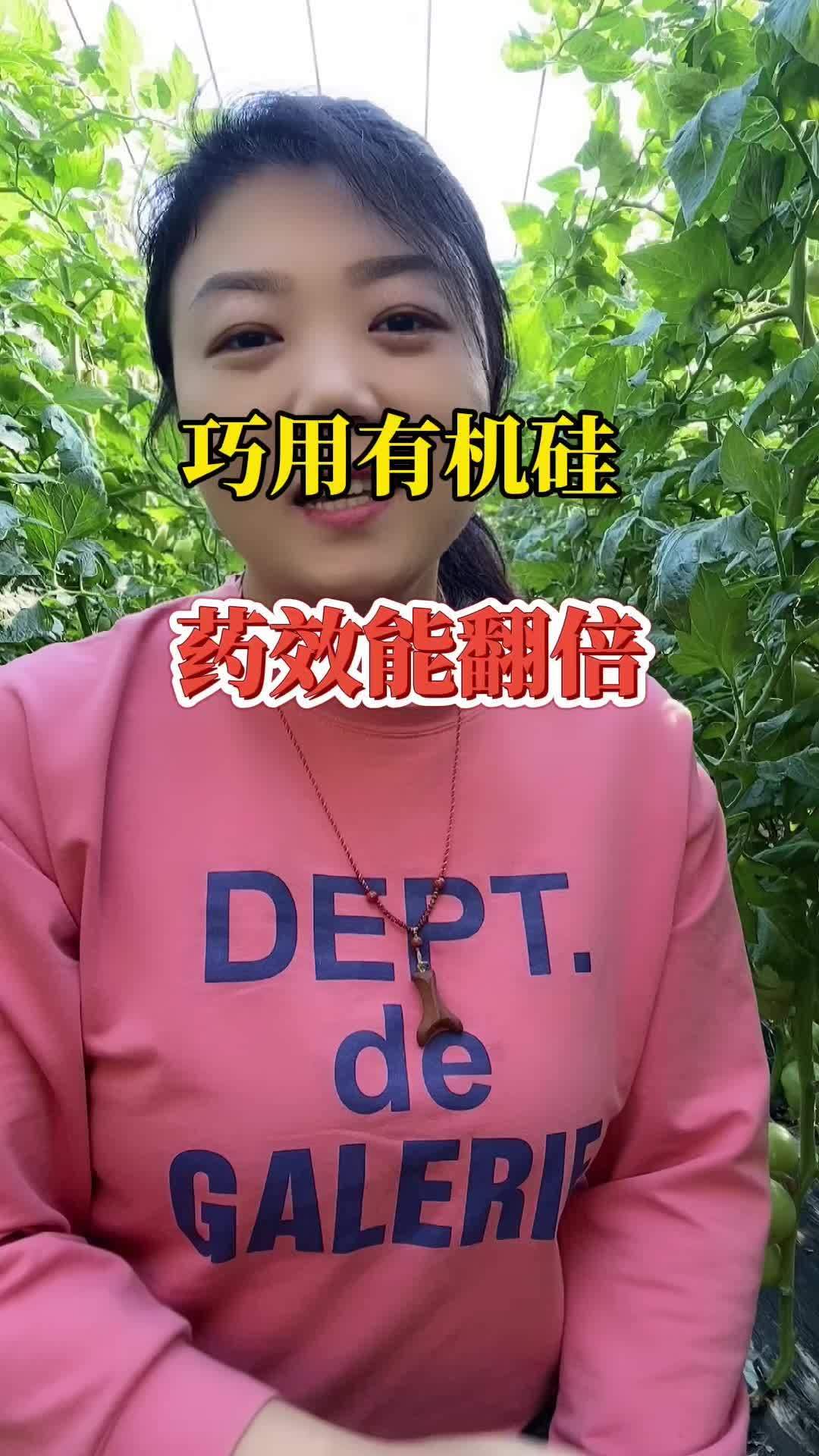 打药用肥的时候巧用有机硅,药效或肥效会翻倍