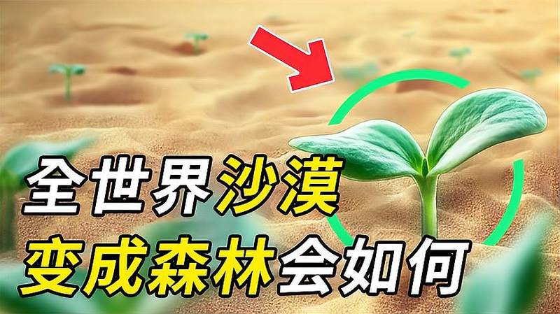 如果全世界沙漠变成森林,会发生什么?3亿年前悲剧或再次上演