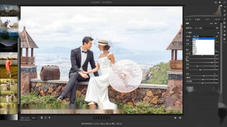 PS快速出图 之 CameraRAW转档定调(一树)