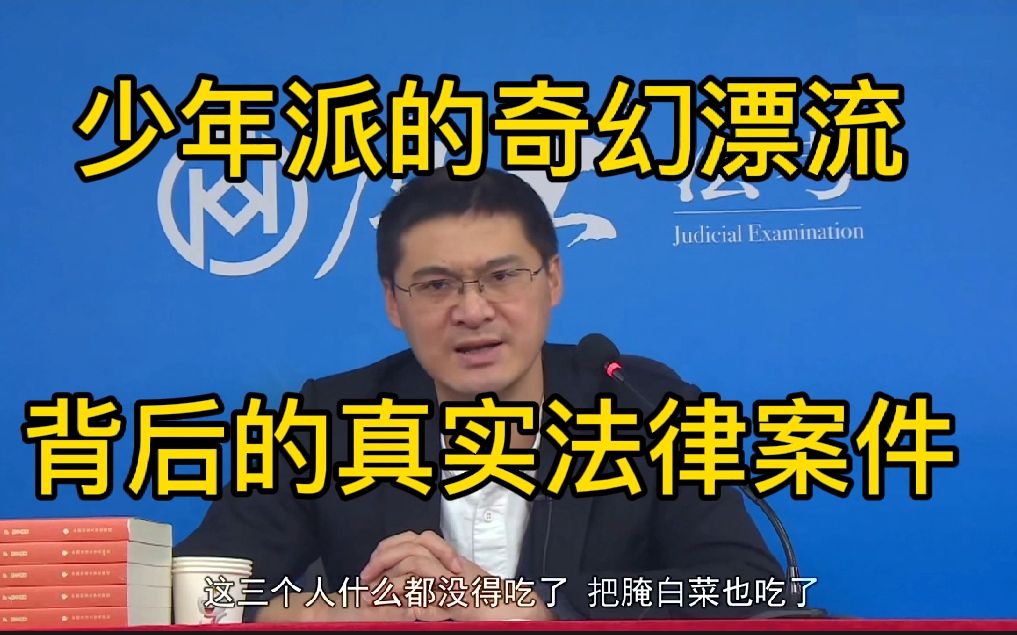 少年派的奇幻漂流背后的真实法律案件,值得深思