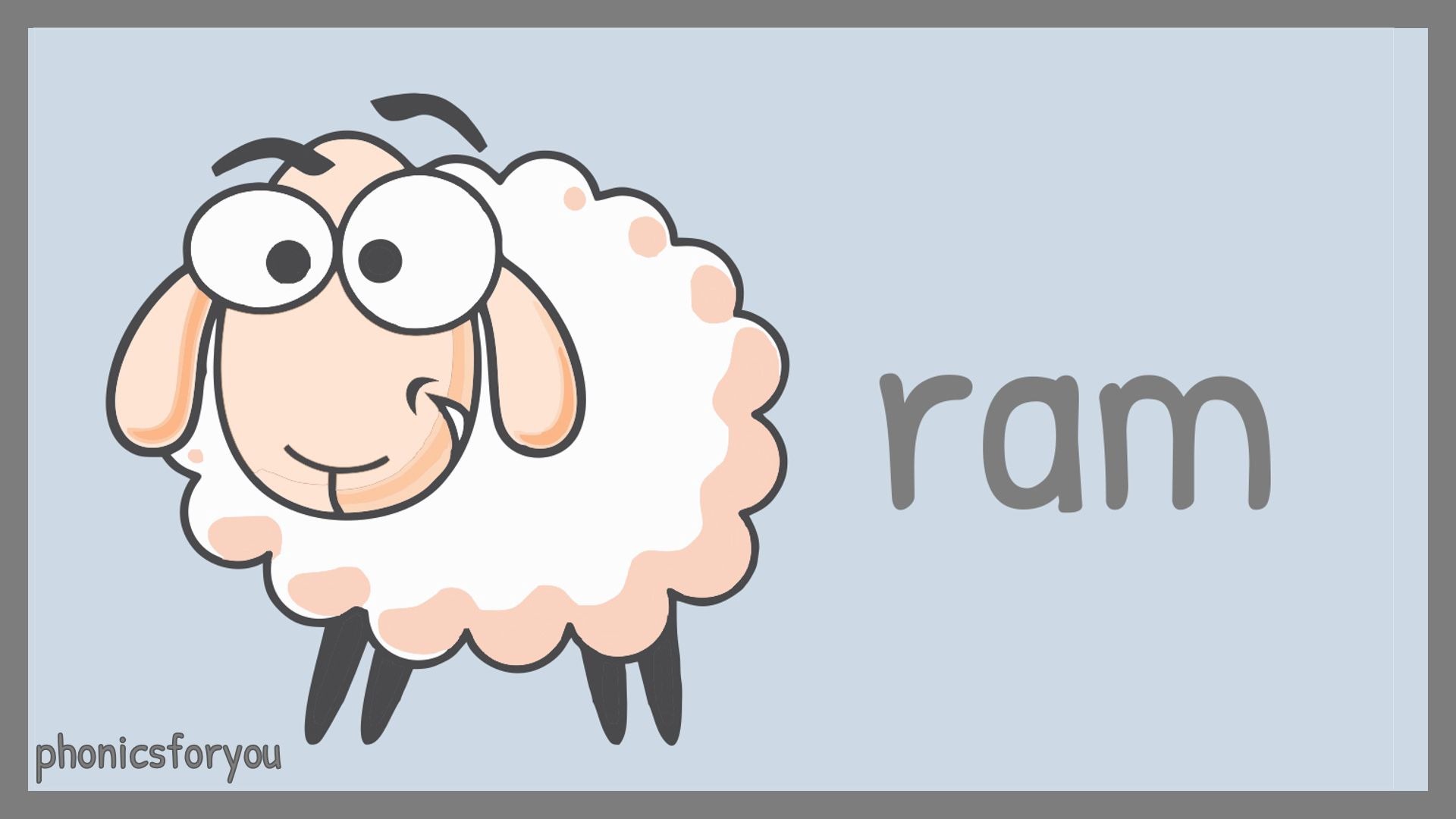 am的单词/学习英语