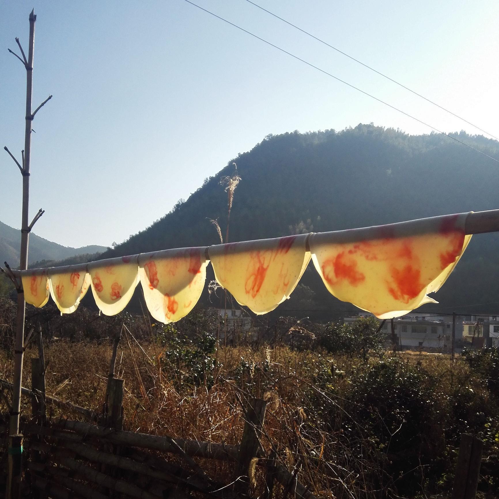 阿华在乡村 