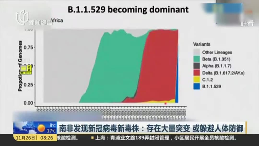 南非发现新冠病毒新毒株:存在大量突变或躲避人体防御