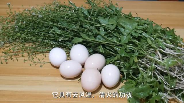 民间习俗,三月三地菜煮鸡蛋,它不仅可以祛风湿,还可以清火