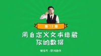 冯注龙的零基础Excel教程 第13集 用自定义文本隐藏你的数据