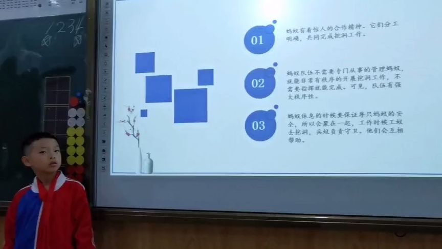 弓背蚂蚁观察记录3