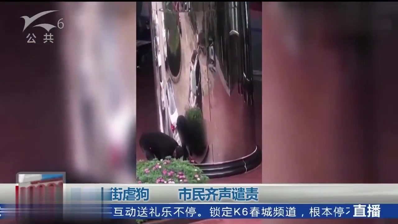 踢踹头部用脚踩!男子当街虐狗小狗发出尖锐惨叫