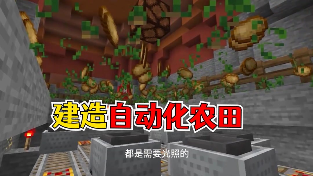 我的世界:许多小伙伴不知道的小知识,如何建造自动化农田